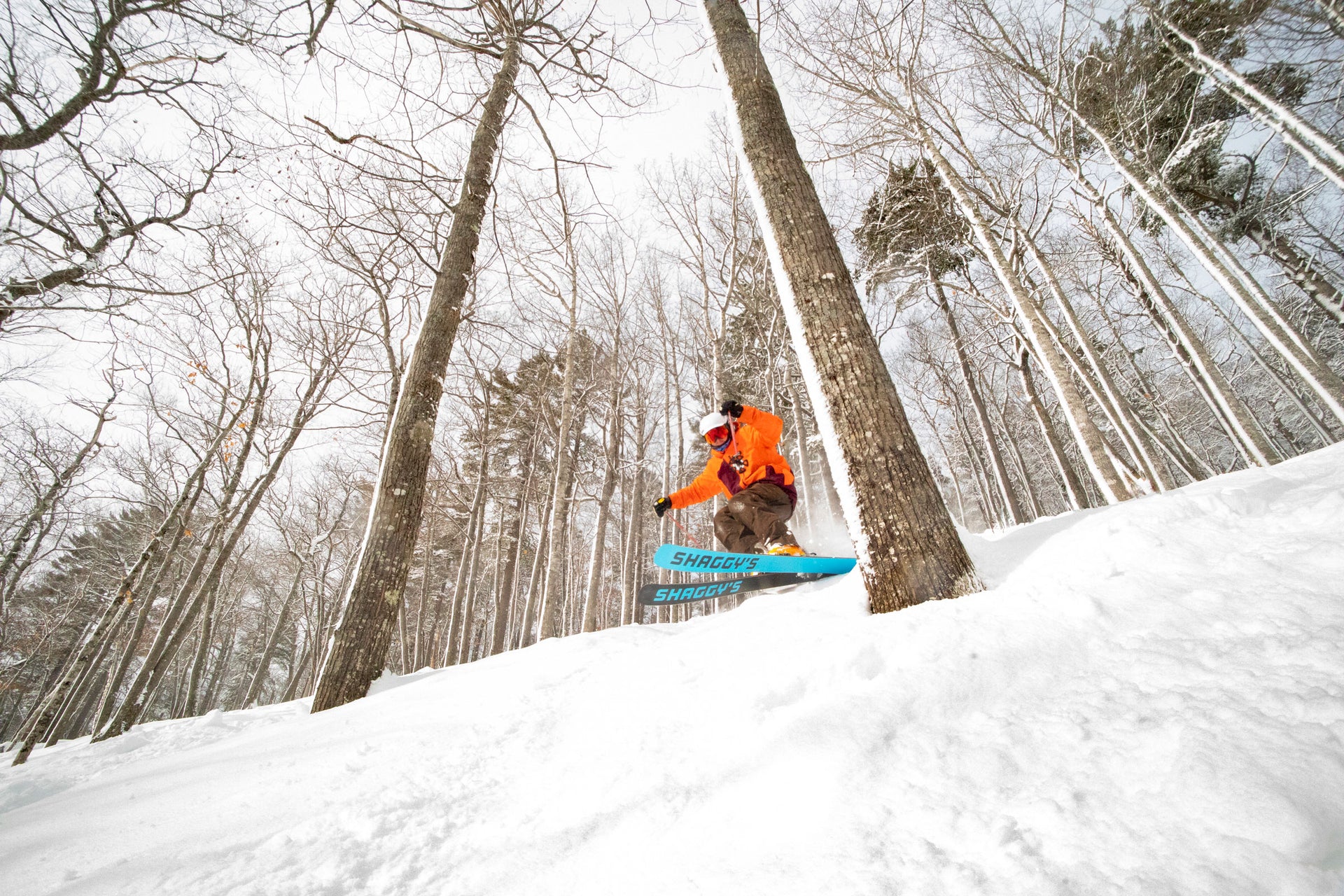 Guide: How to Start Tree Skiing – Shaggy's Copper Country Skis