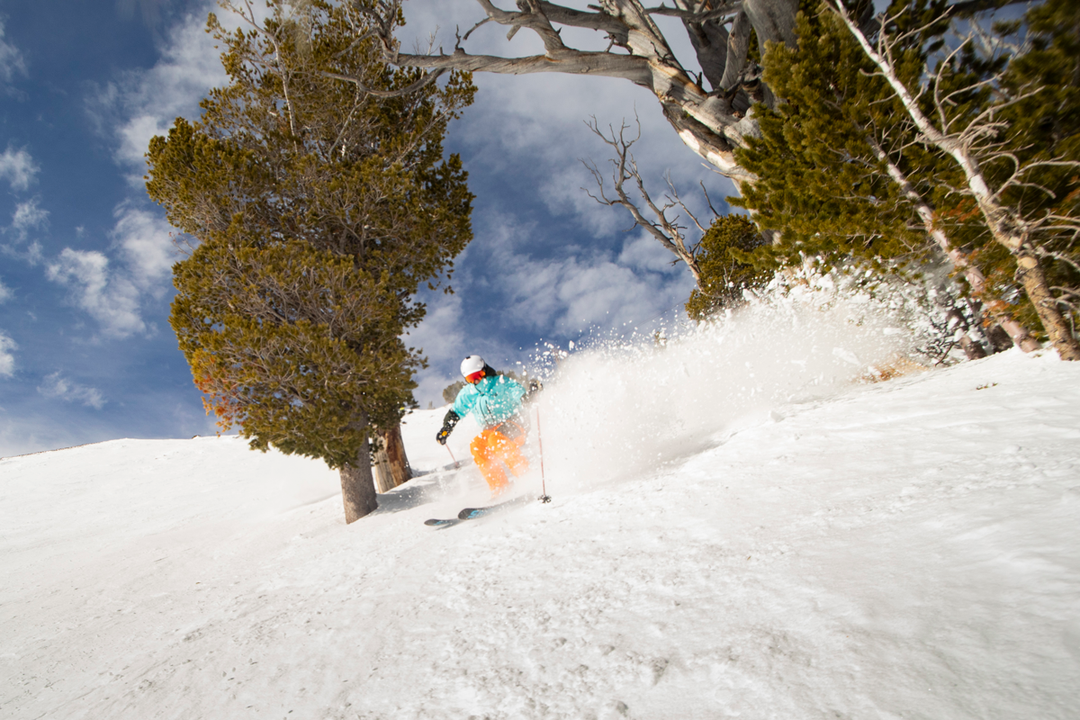 2026 Mohawk 88 – Shaggy's Copper Country Skis
